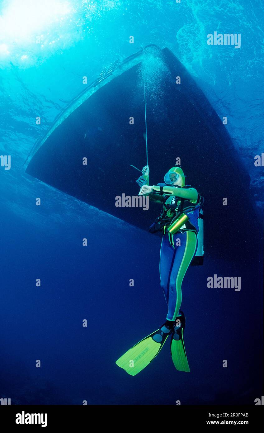 Scuba diver at safety stop, Sudan, Africa, Red Sea Stock Photo - Alamy