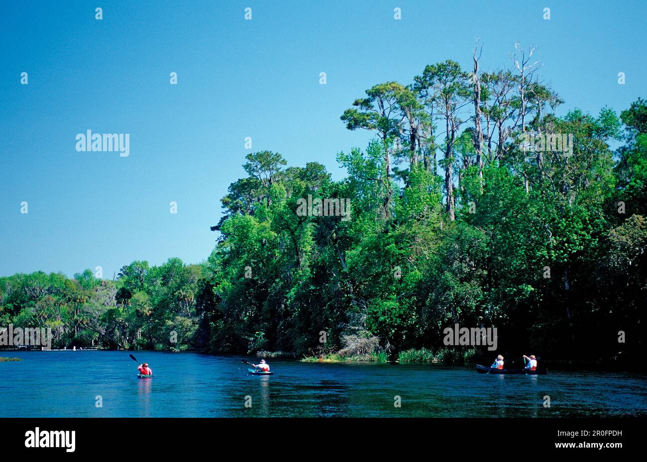 Rainbow river aquatic plants usa hi-res stock photography and images ...