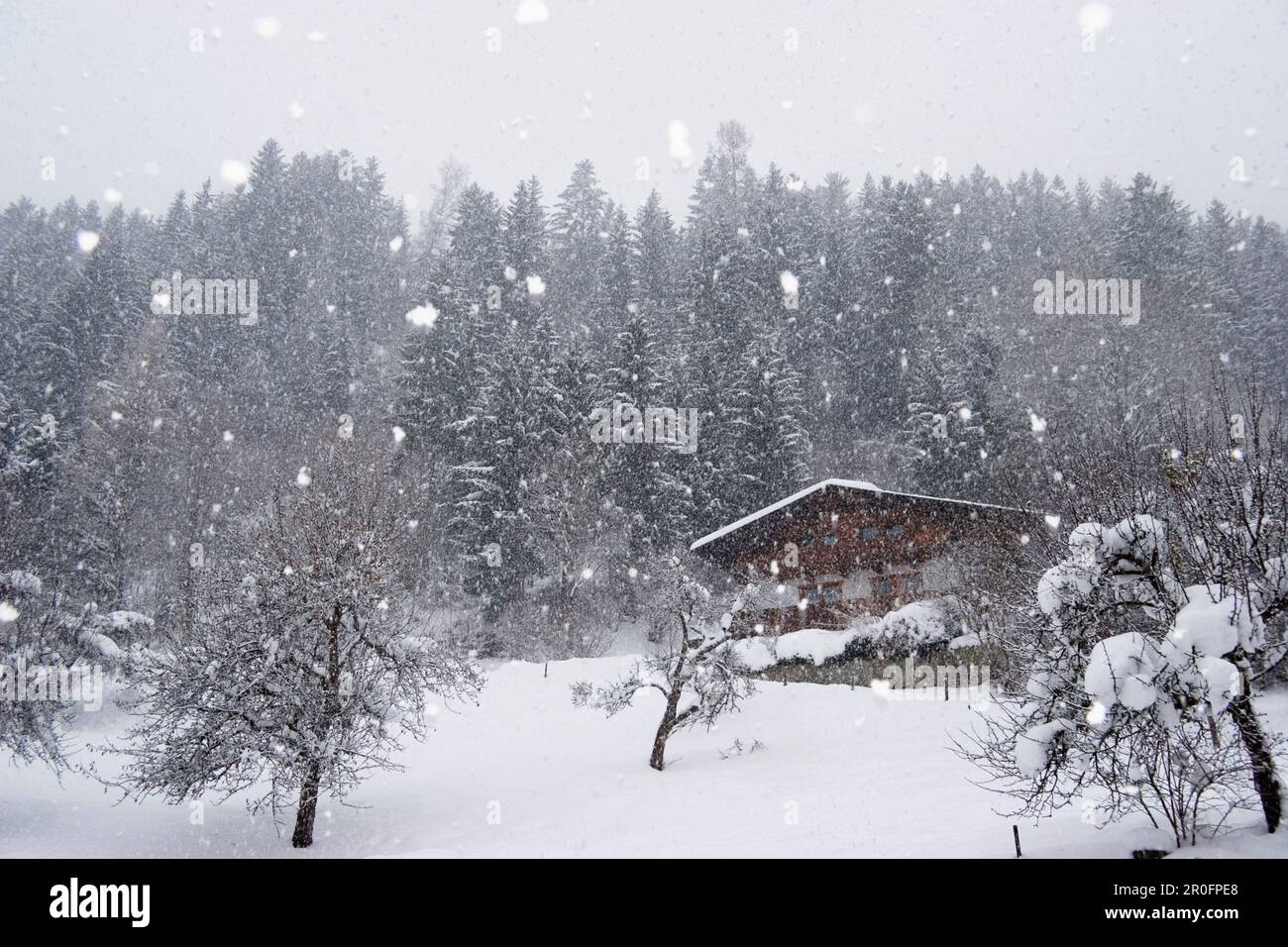 House in snowstorm hi-res stock photography and images - Alamy