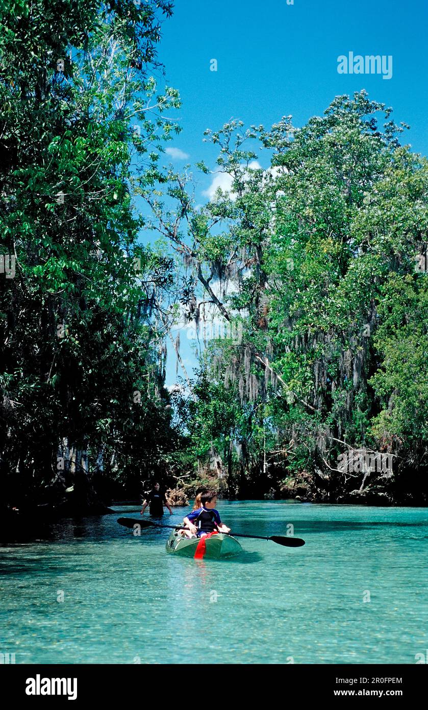 Canoe in the Three Sisters Manatee Sanctuary, USA, Florida, Crystal ...