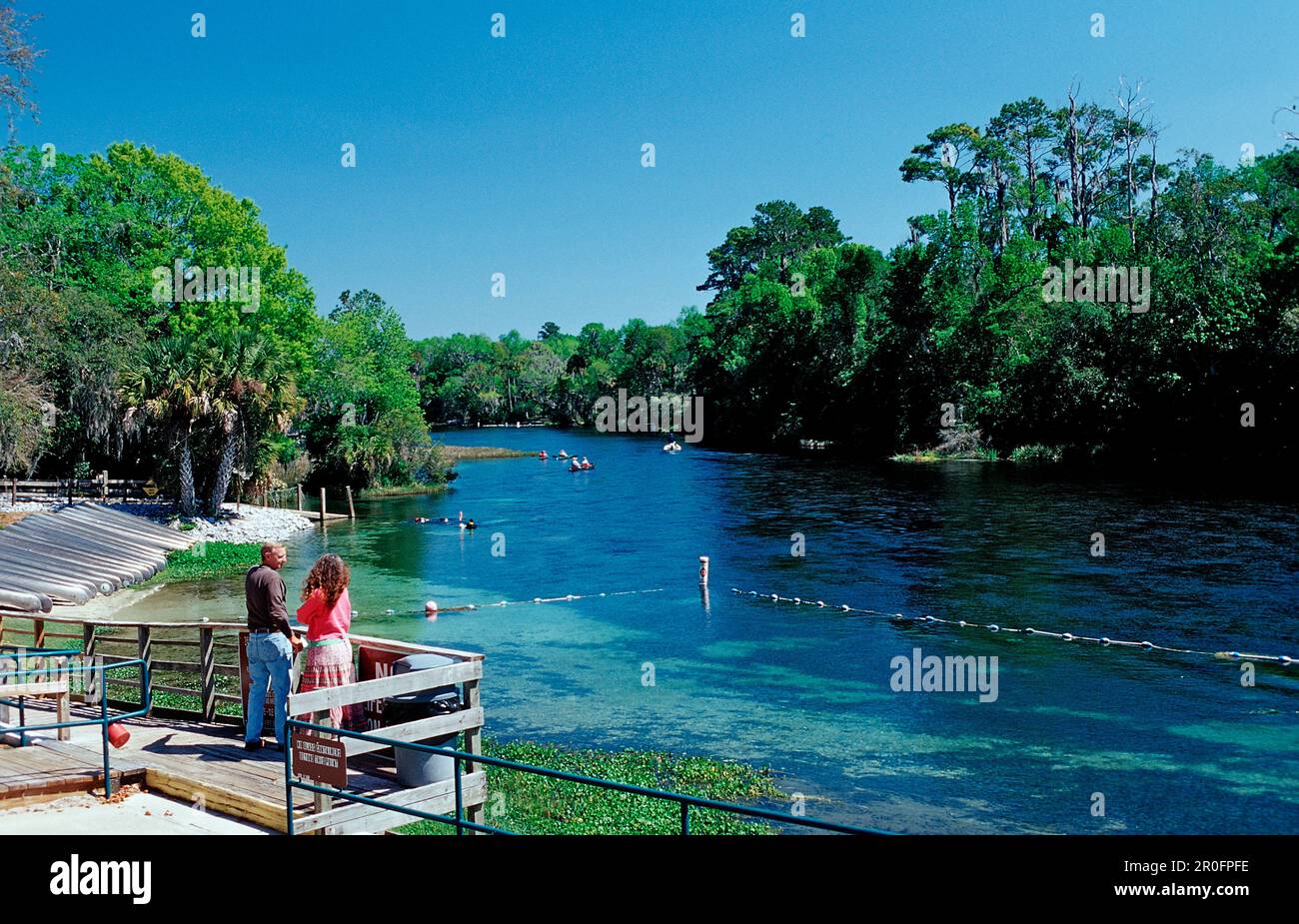 Tree branch over river surface hi-res stock photography and images - Alamy