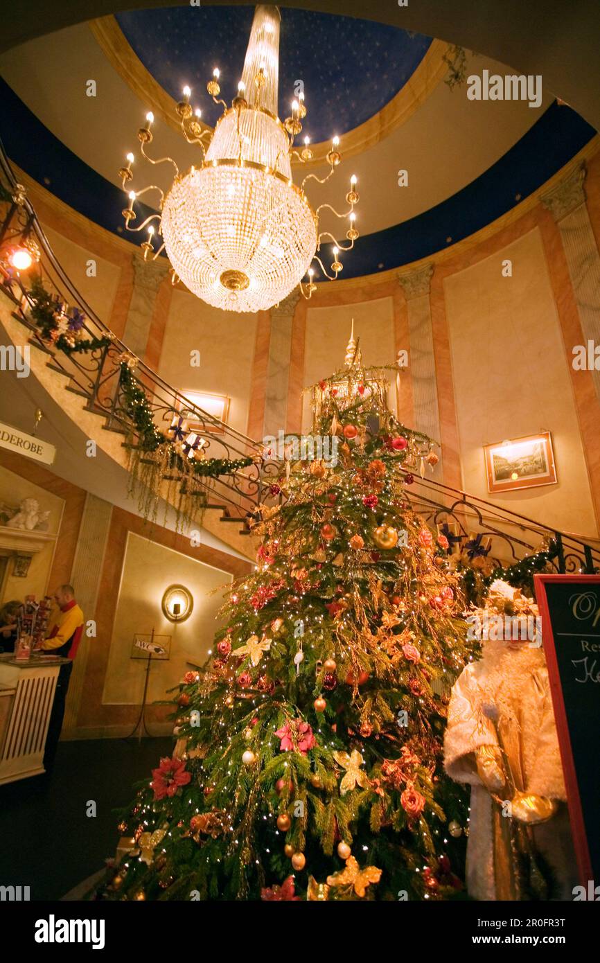 Berlin, christmas tree in opera palais Stock Photo - Alamy