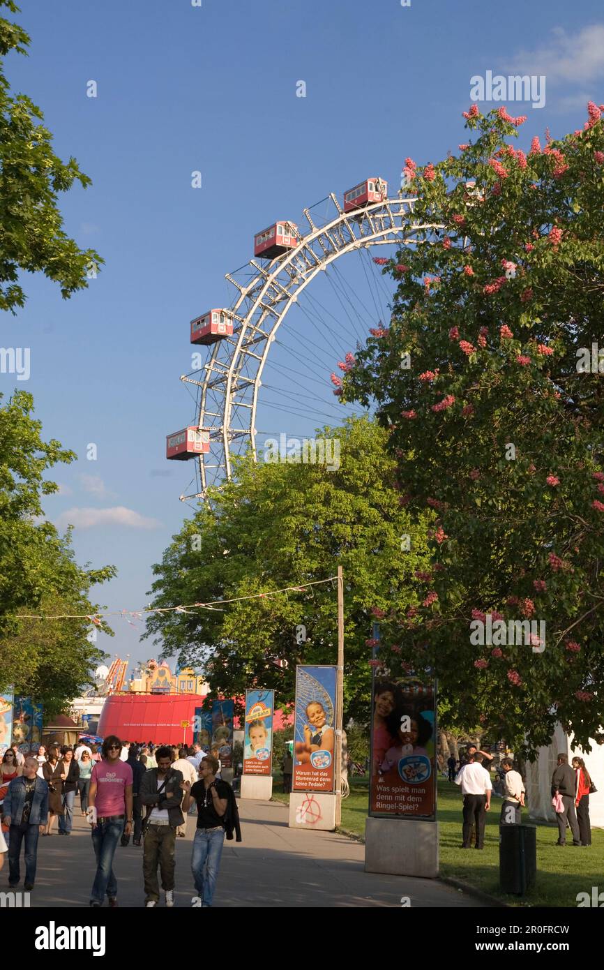 Vienna Austria Prater Big Wheel in spring Stock Photo - Alamy