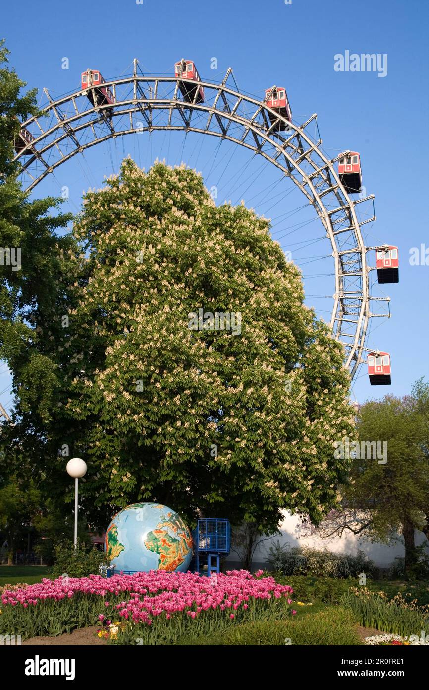 Vienna Austria Prater Big Wheel in spring blooming chestnut trees Stock ...