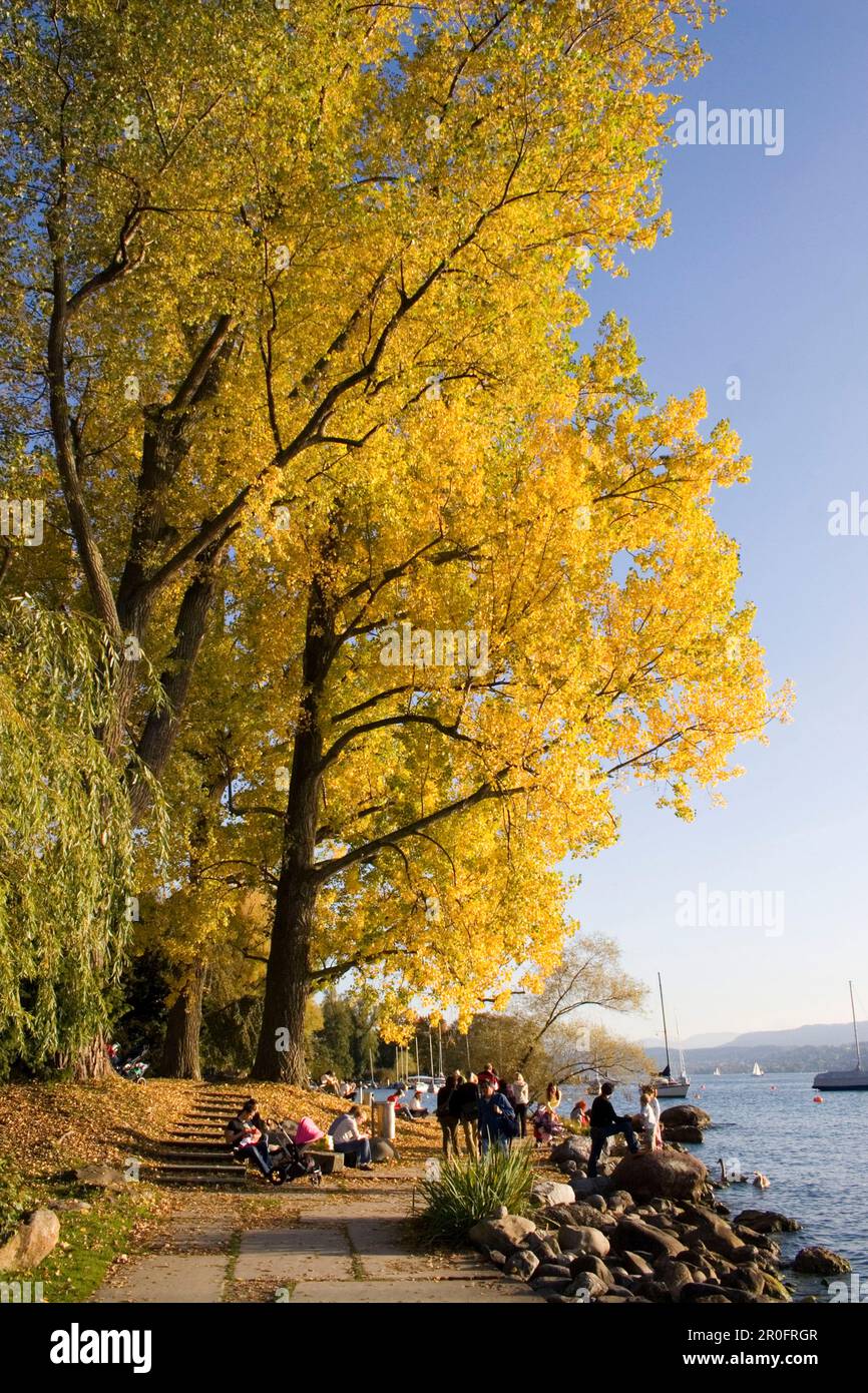 Switzerland Zuerich, Zurich, lake promenade in autumn , people , trees ...