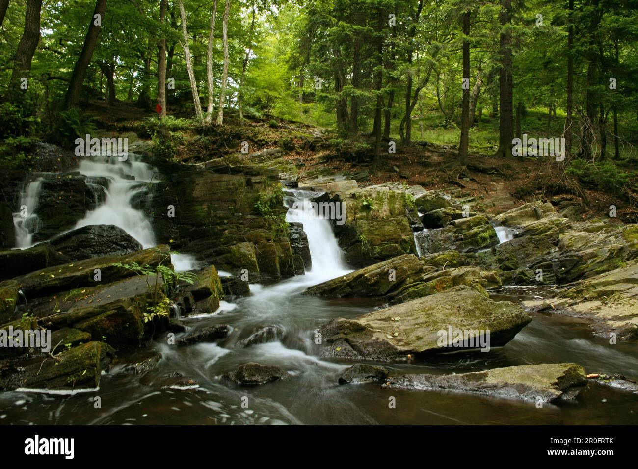 River Selke flowing through Selke valley, Alexisbad, Harzgerode, Saxony ...