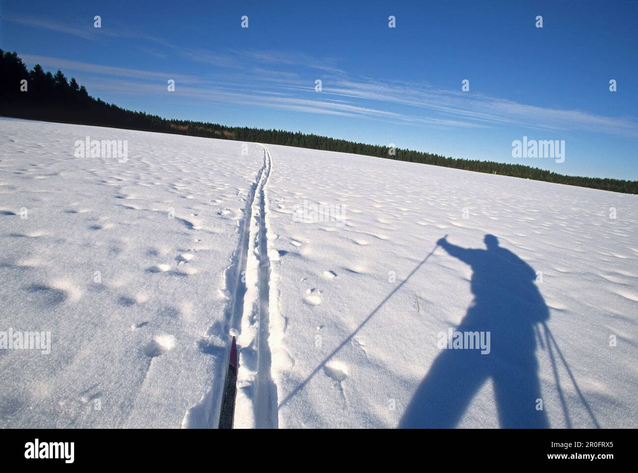 Shadow of a cross-country skiier, near Tanne, Saxony-Anhalt, Germany ...
