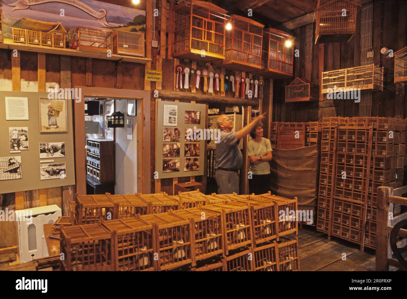 Canary cage miner hi-res stock photography and images - Alamy