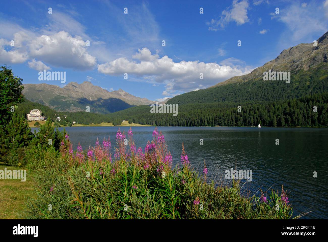 Lake St. Moritz, Upper Engadin, Grisons, Switzerland Stock Photo - Alamy