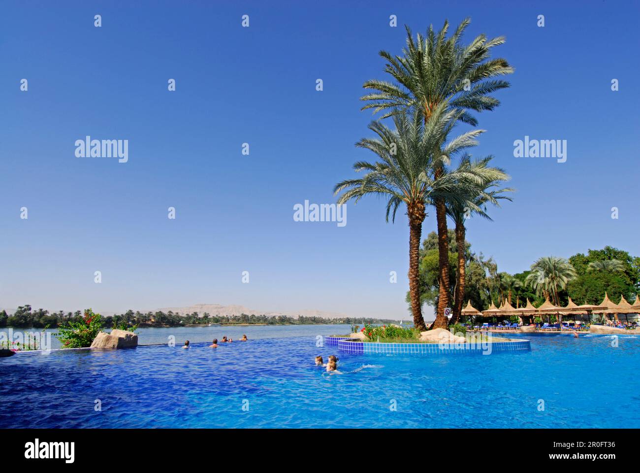 swimming-pool area with palm trees and view to the Nile and western ...