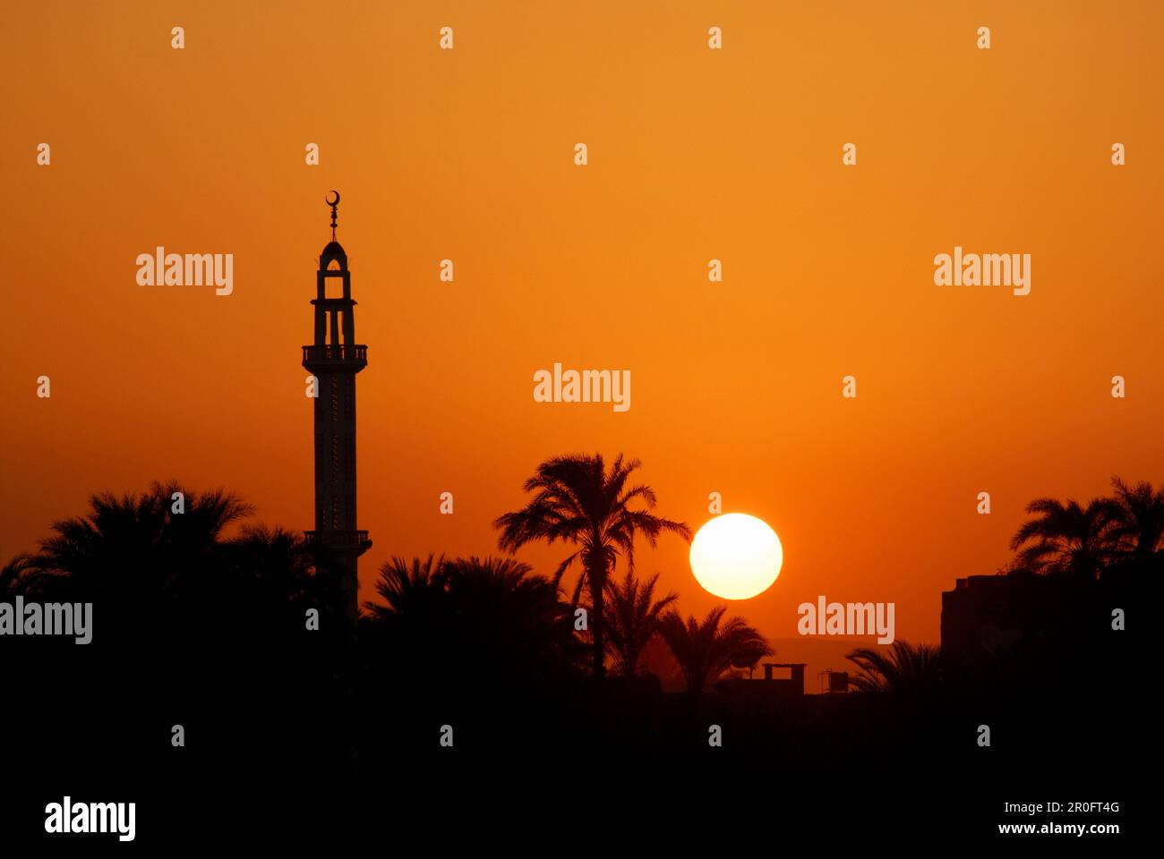 cruise on the Nile, sunset behind minaret and palm trees at western ...