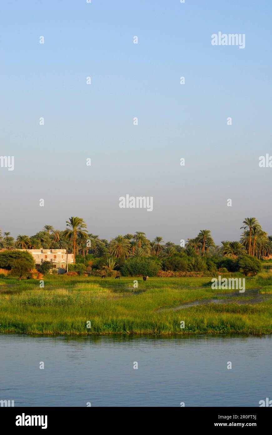 cruise on the Nile, houses and palm trees at bank, Nile between Luxor ...