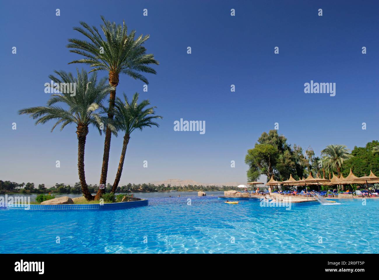 swimming-pool area with palm trees and view to the Nile and western ...