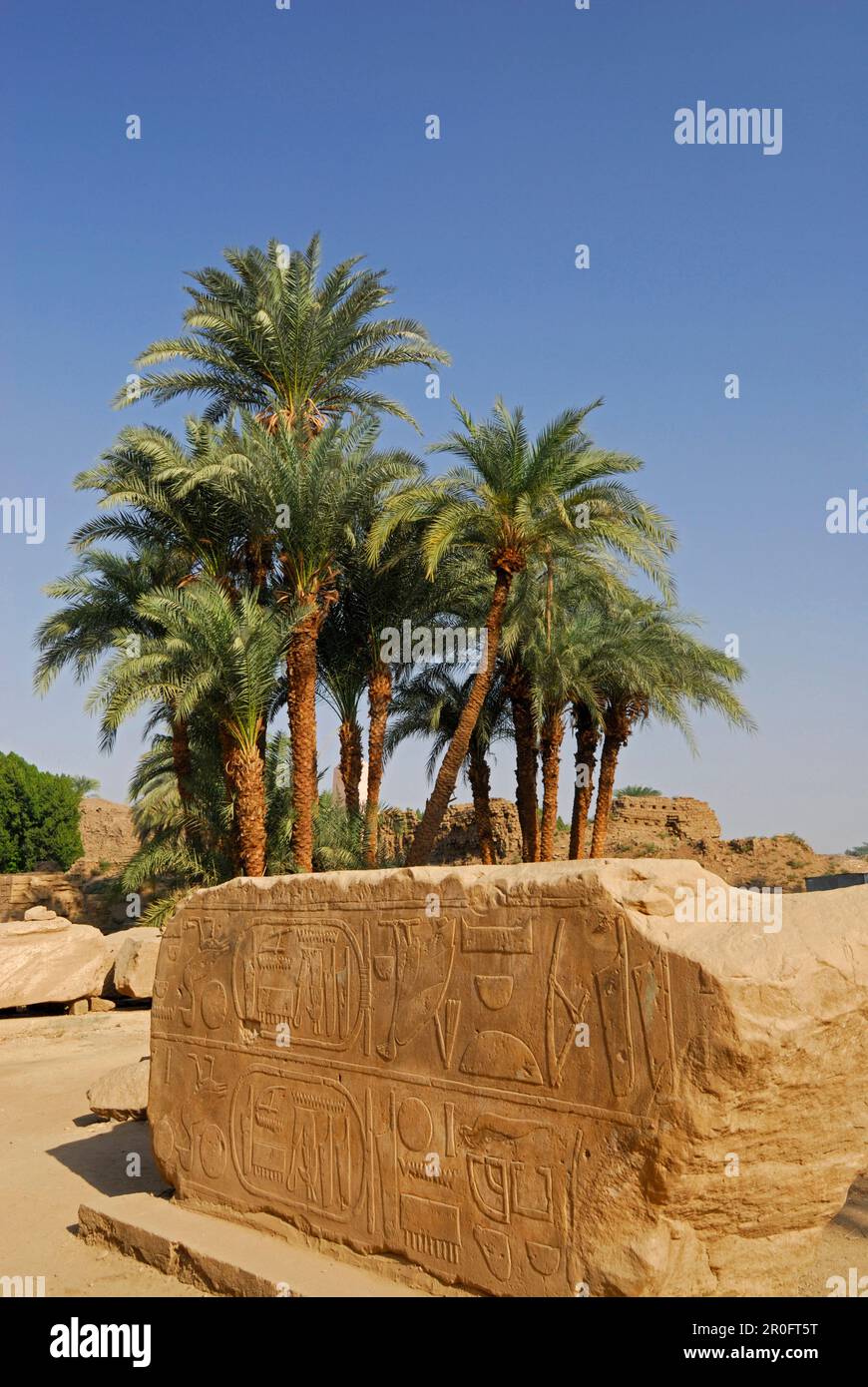 Fragment of wall with relief and group of palm trees, temple of Karnak ...