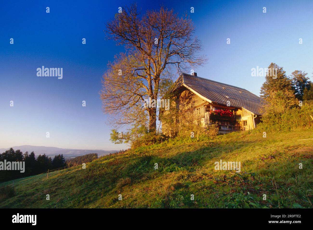 Farm near Furtwangen, Black Forest, Baden-Wurttemberg, Germany Stock ...