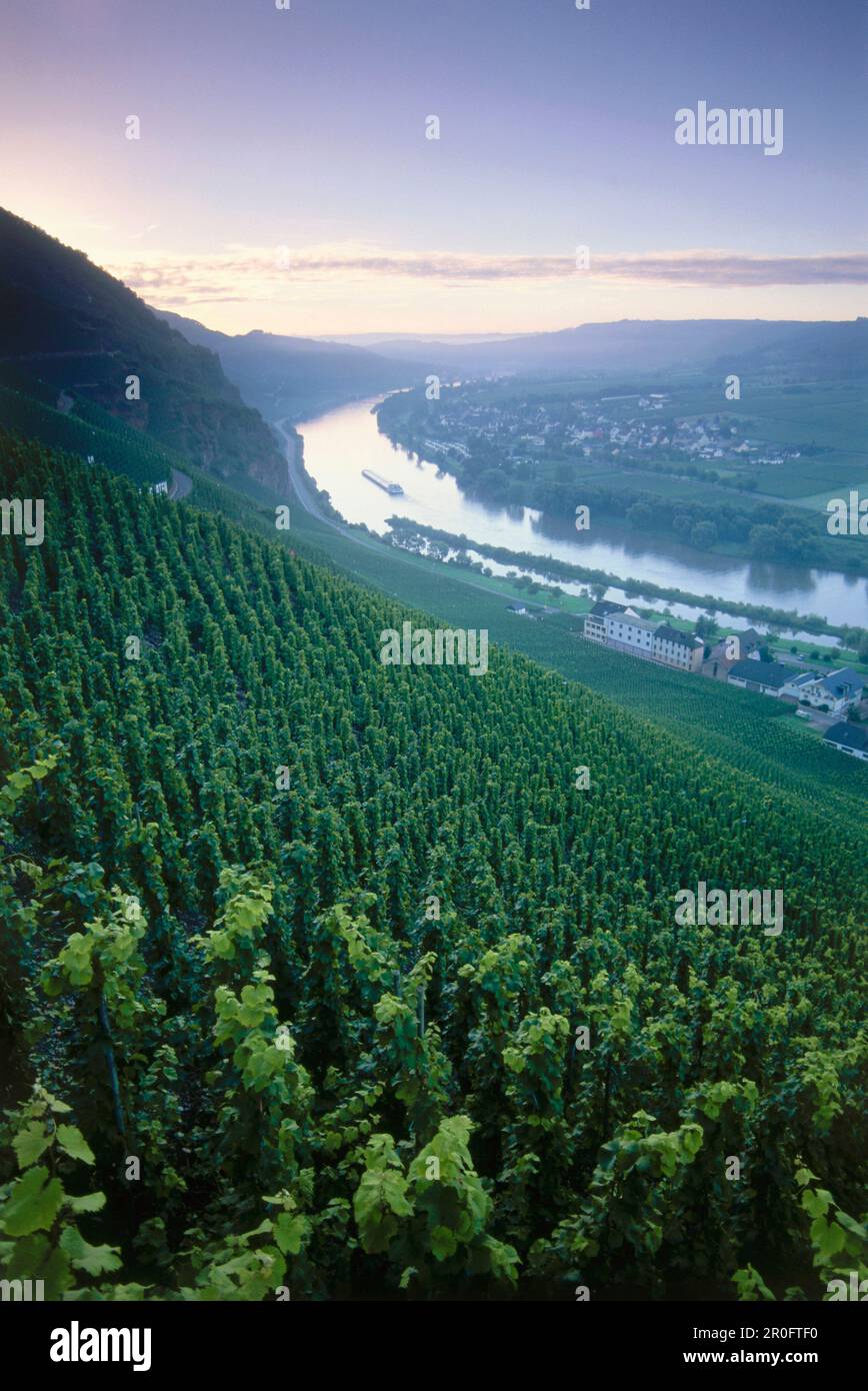 Urziger hi-res stock photography and images - Alamy