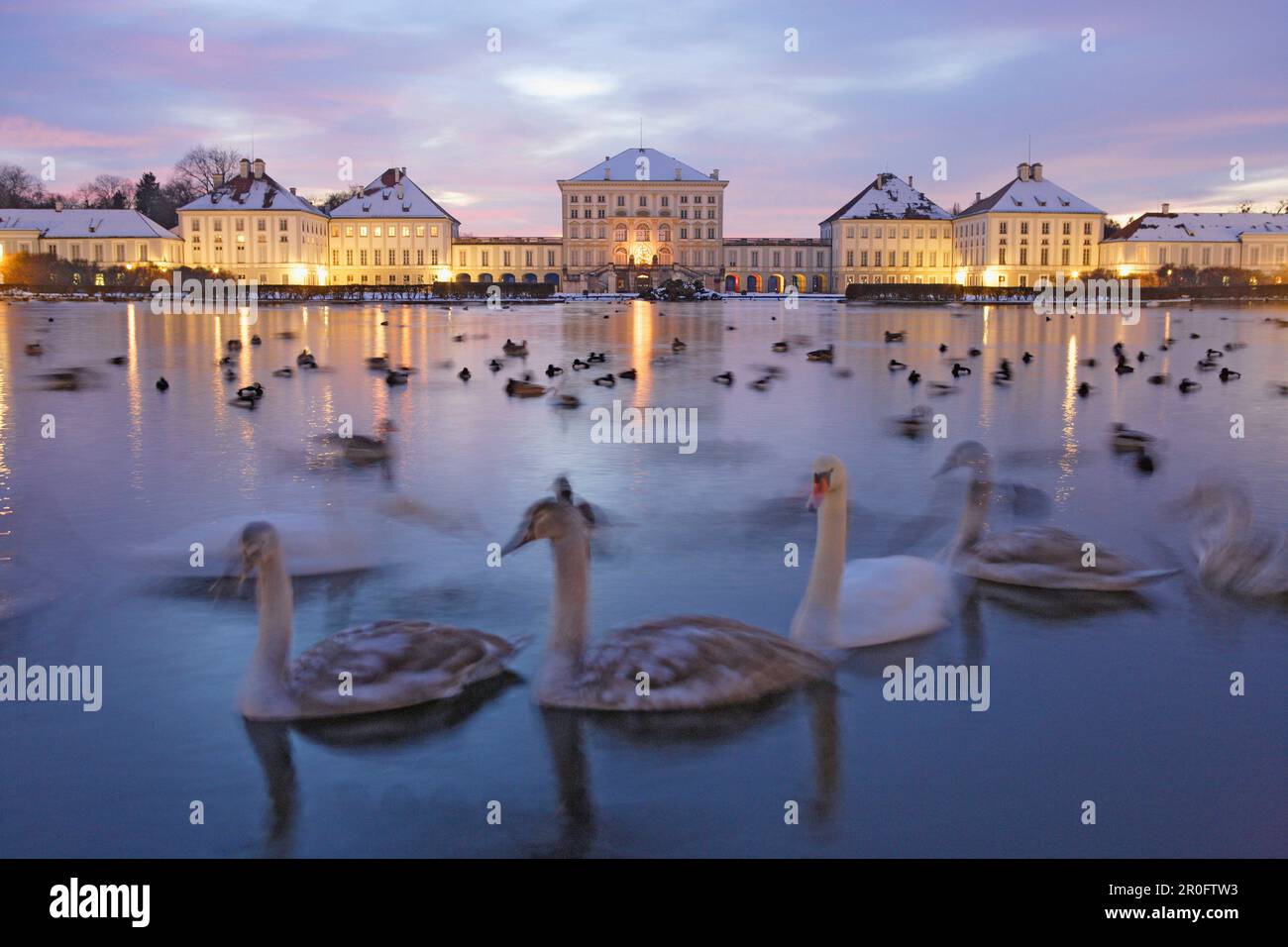 Swan motif hi-res stock photography and images - Alamy