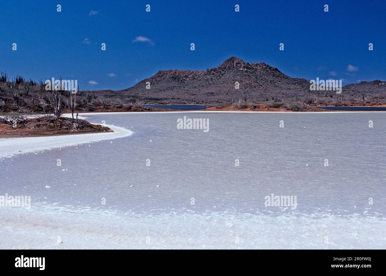 Salt lake Salina Slagbaai, Netherlands Antilles, Bonaire, Washington ...