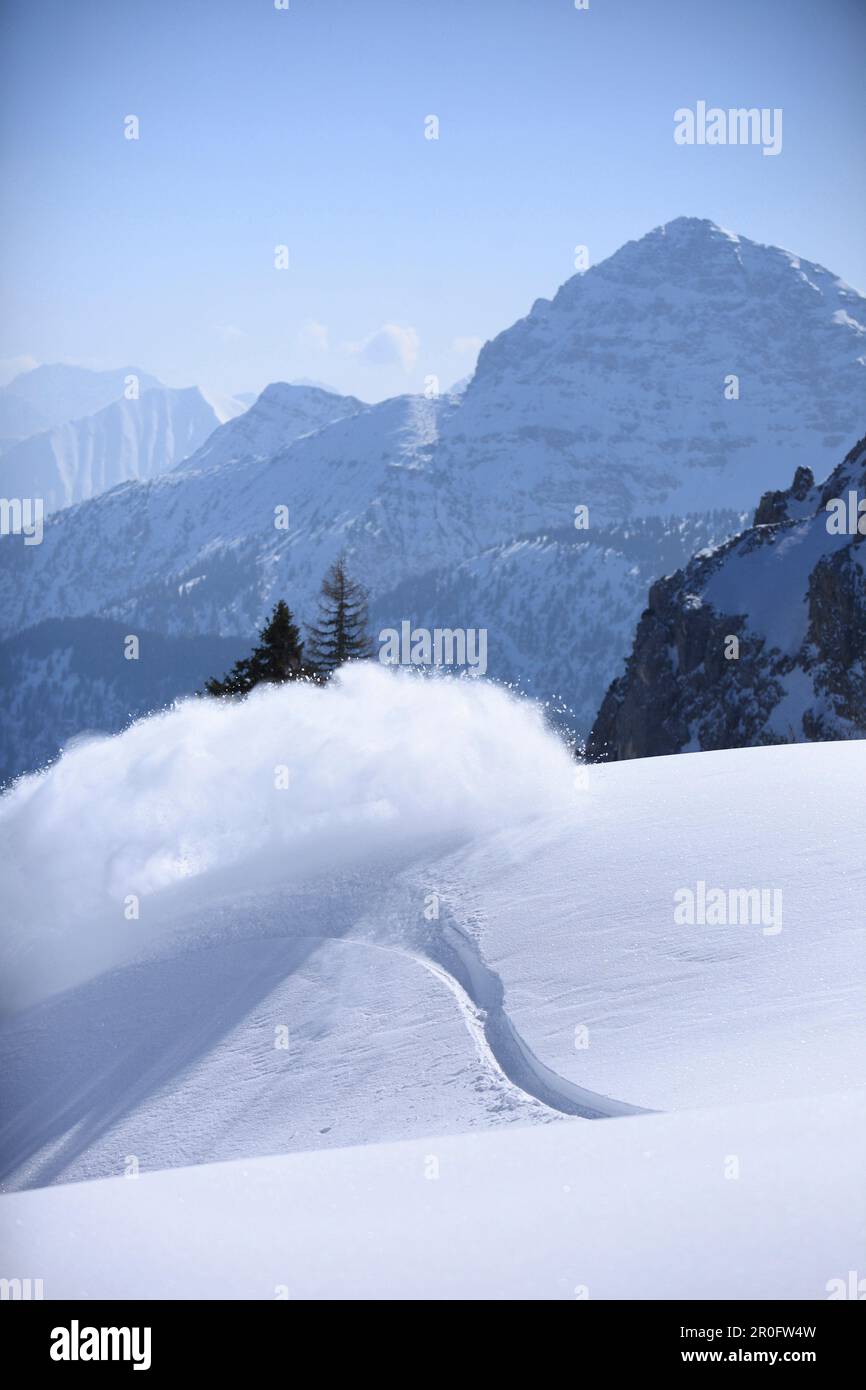 Snowboard tracks in snow, Reutte, Tyrol, Austria Stock Photo - Alamy