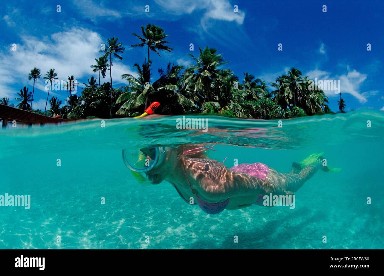 Skin Diving at Maldives, Maldives, Indian Ocean, Medhufushi, Meemu ...