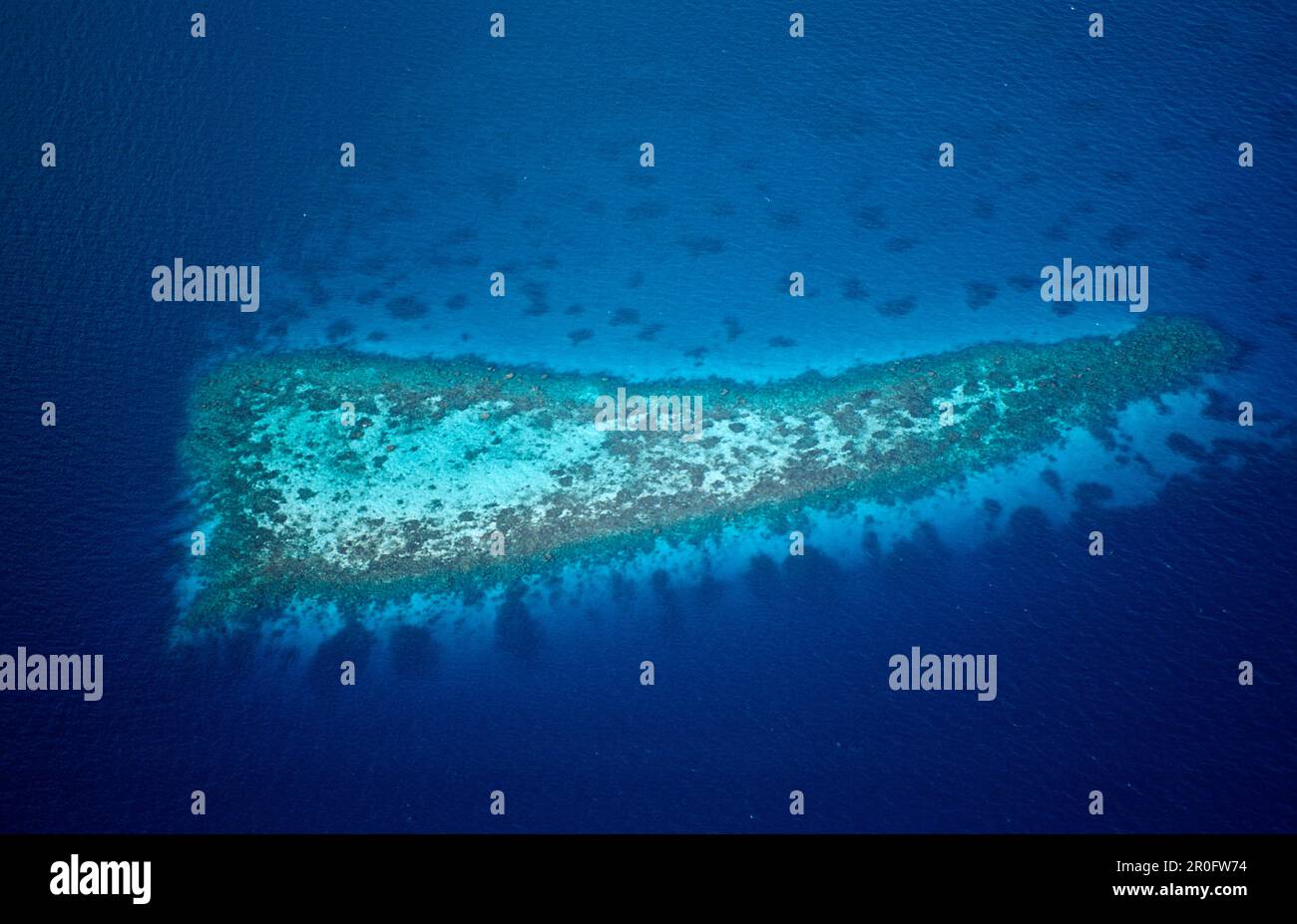 Birds eye view shot coral hi-res stock photography and images - Alamy