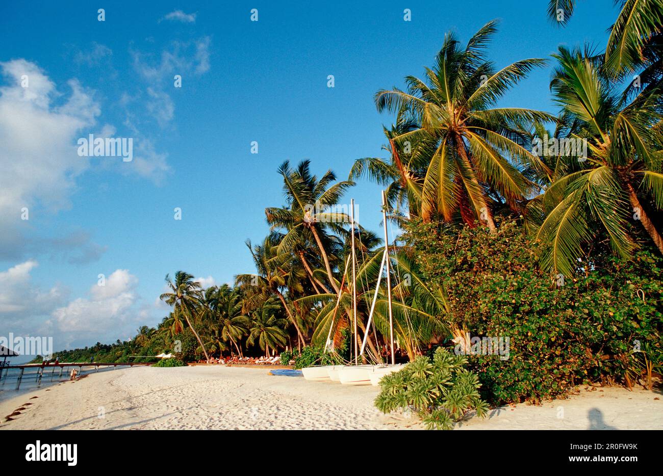 Catamaran at Beach, Maldives, Indian Ocean, Medhufushi, Meemu Atoll ...