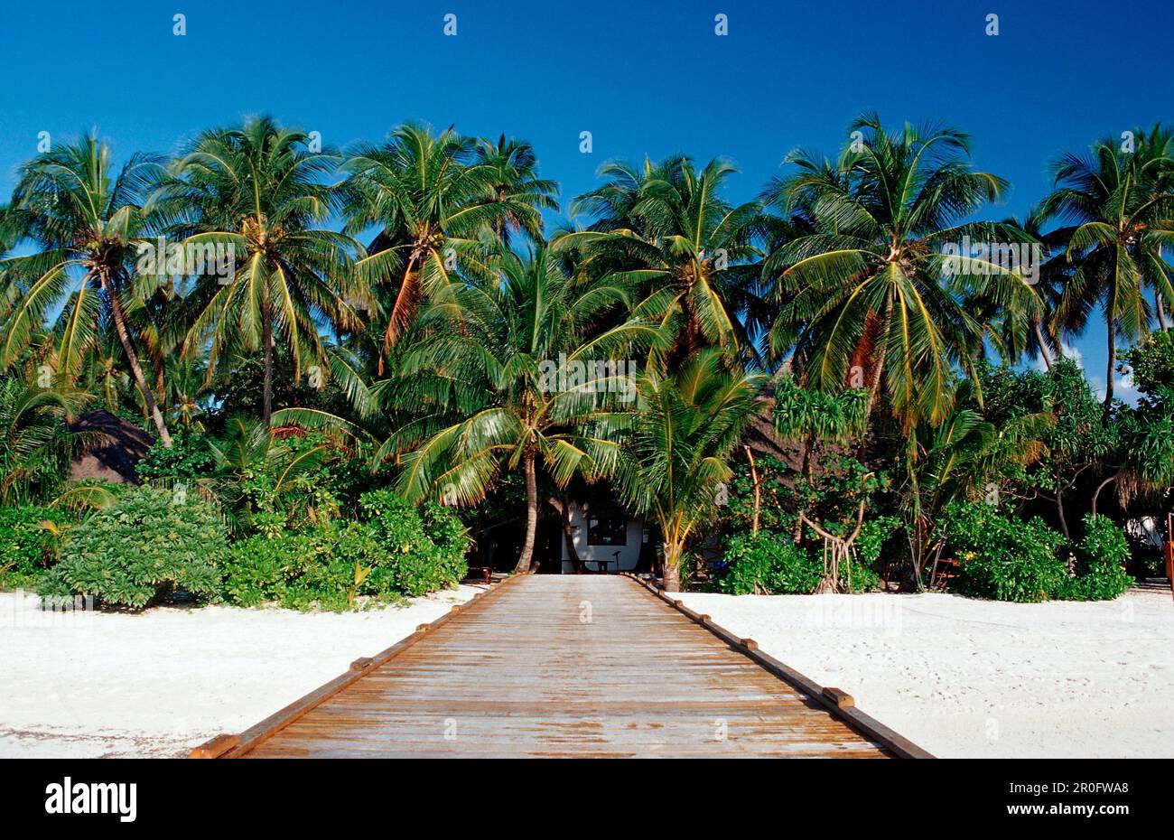 Maledivian Island, Maldives, Indian Ocean, Medhufushi, Meemu Atoll ...