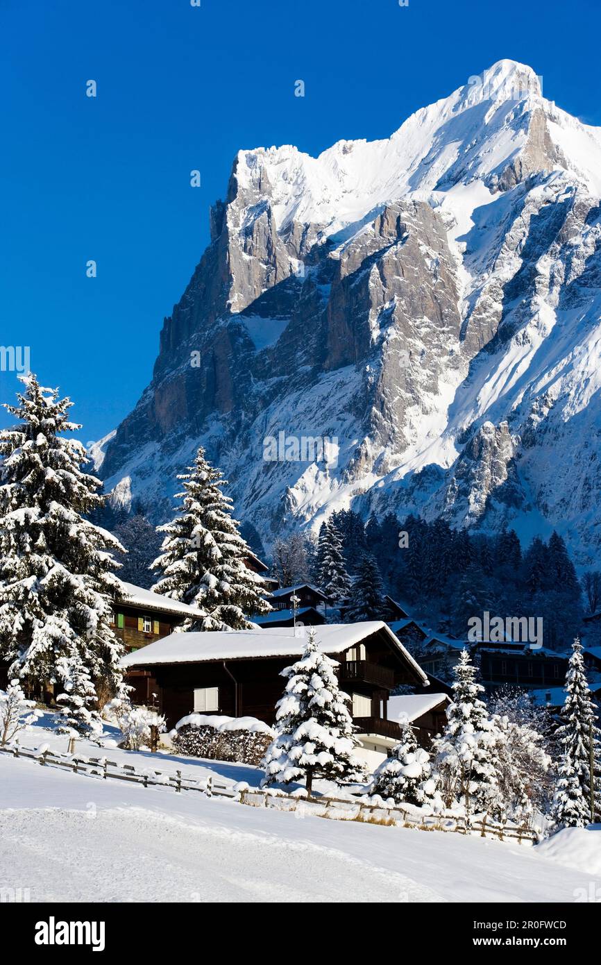 Alpine huts in front of mountain Wetterhorn, Grindelwald, Bernese ...