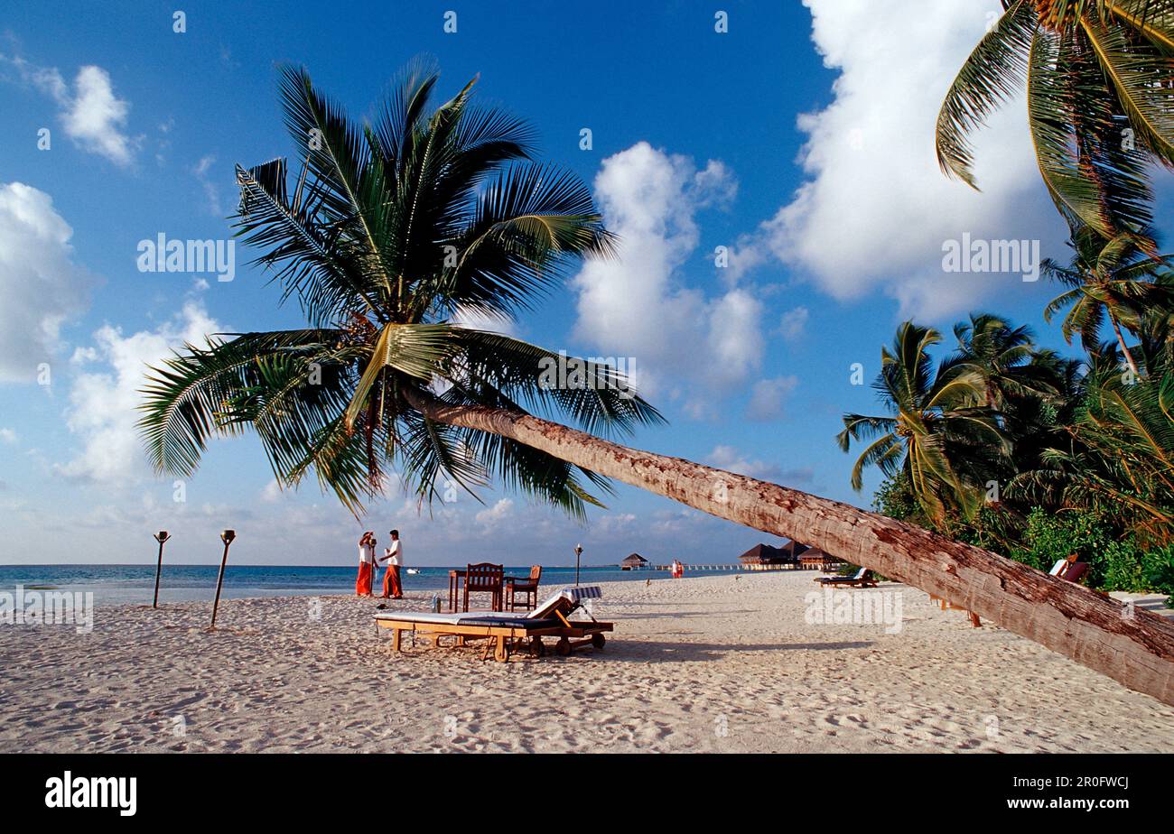 Beach on Maledivian Island, Maldives, Indian Ocean, Medhufushi, Meemu ...