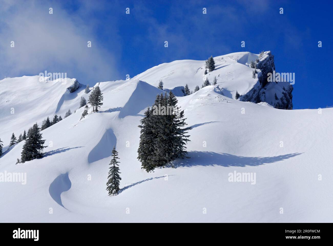 Snow covered mountain scenery with cornices and trees, Allgaeu Alps ...
