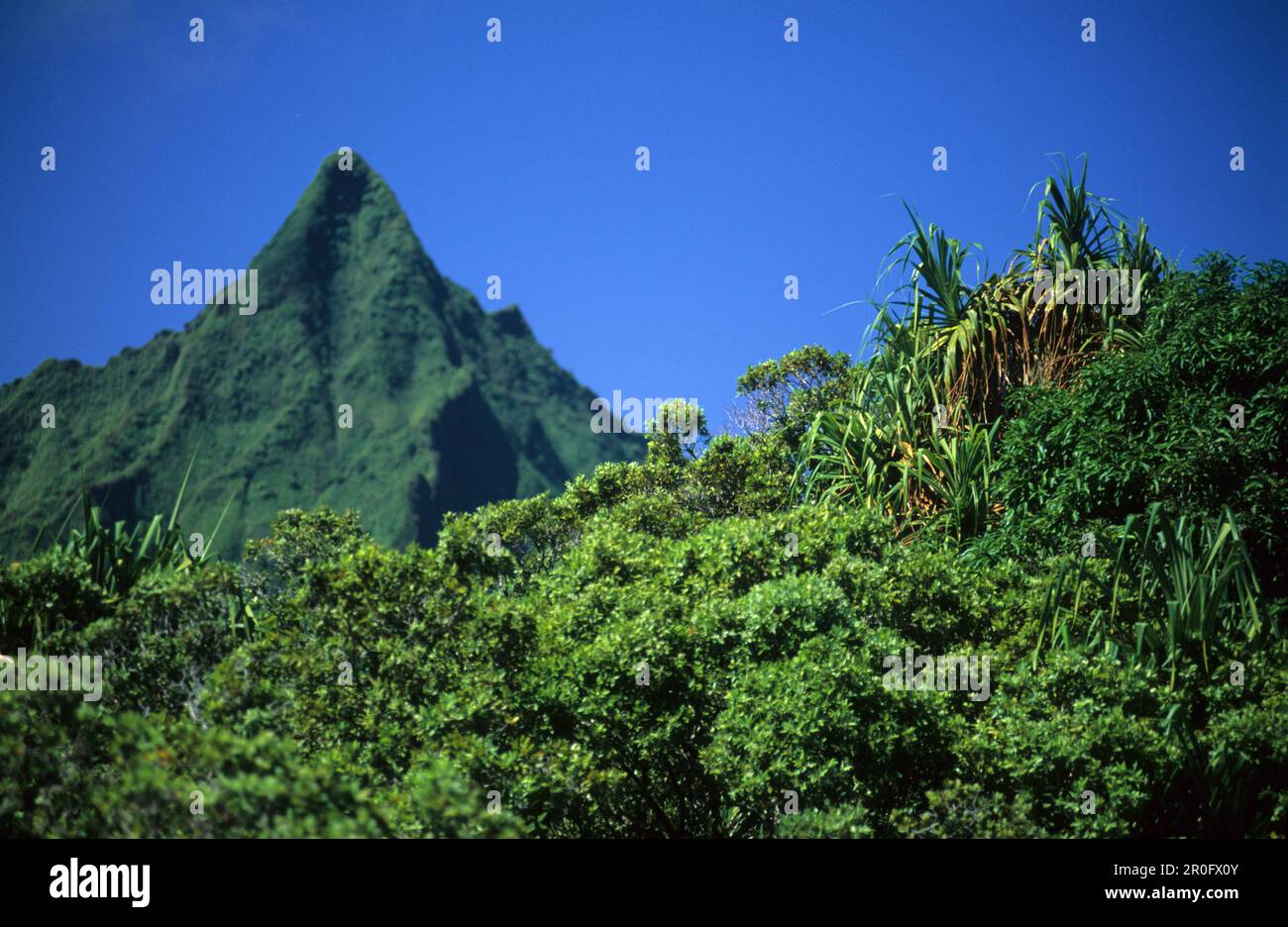 The wild interior of the island of Fatu Iva, French Polynesia Stock ...