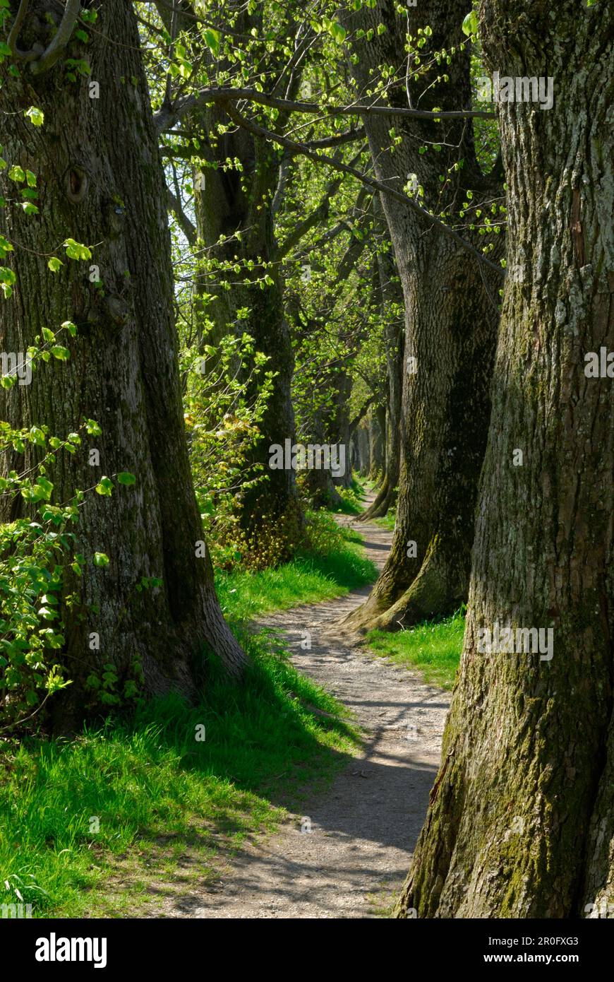 Rural path symbolism hi-res stock photography and images - Alamy