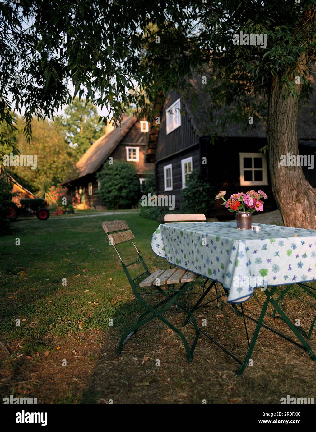 Block houses, Spreewald, Brandenburg, Germany Stock Photo - Alamy
