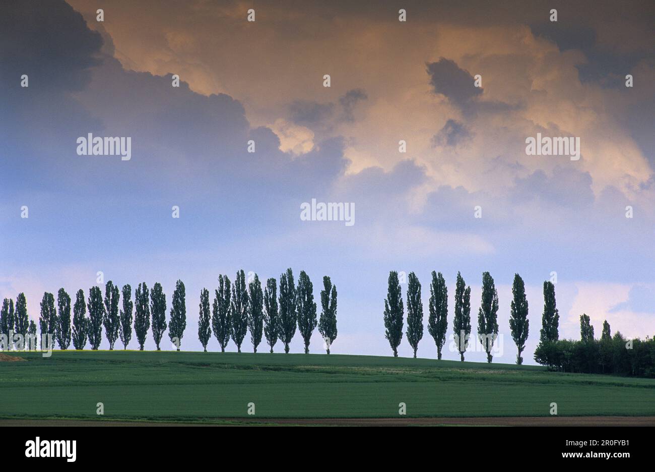 Eichsfeld hi-res stock photography and images - Alamy