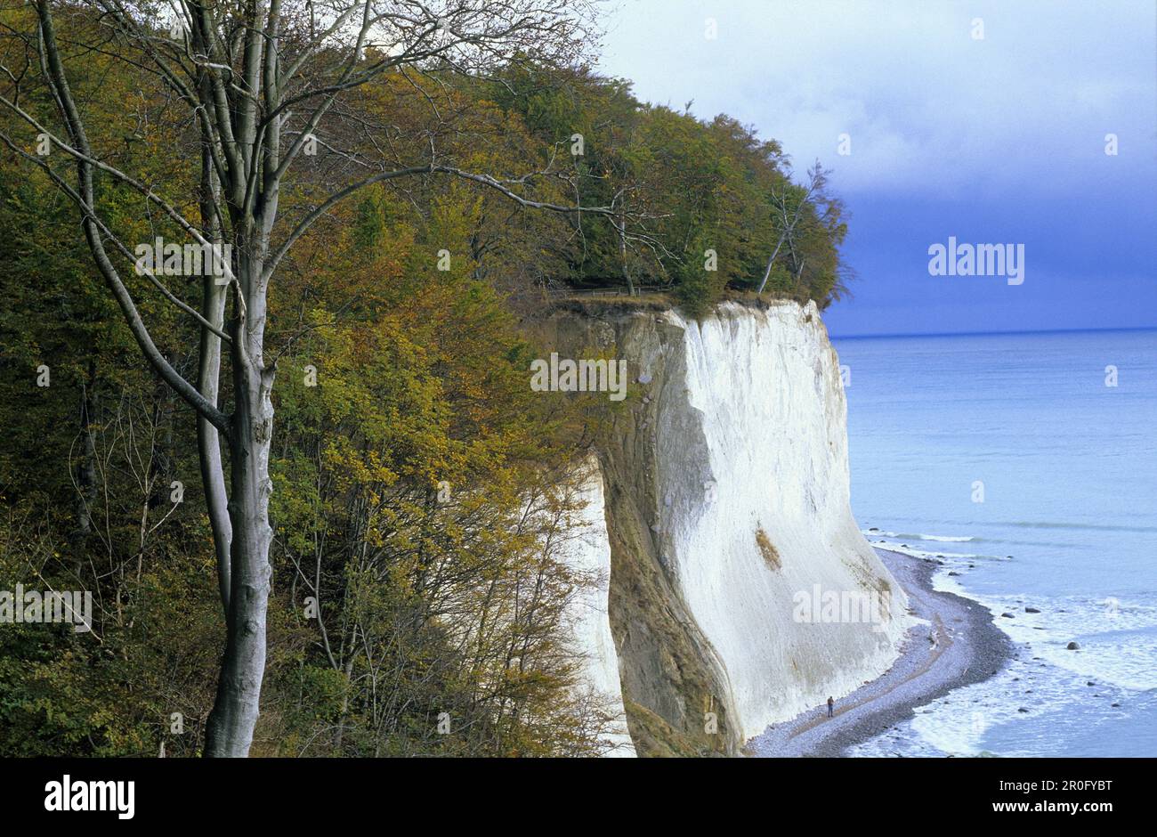 Chalk cliffs, Jasmund National Park, Rugen island, Mecklenburg-Western ...
