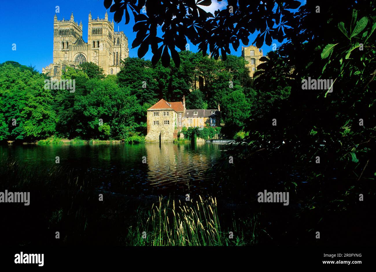Europe, Great Britain, England, Durham, Durham Cathedral Stock Photo ...