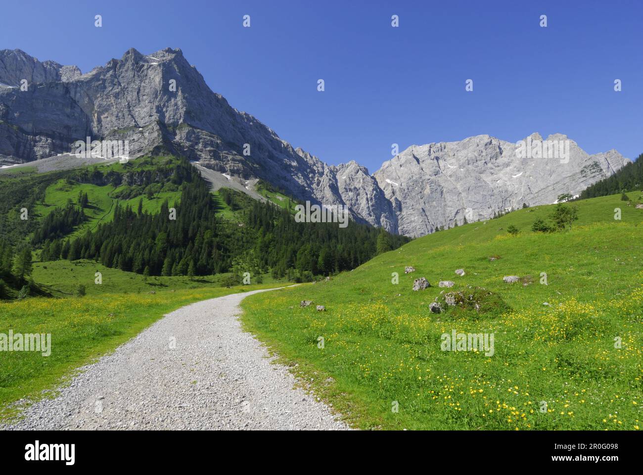Enger Alm with Karwendel range in background, Eng, Tyrol, Austria Stock ...
