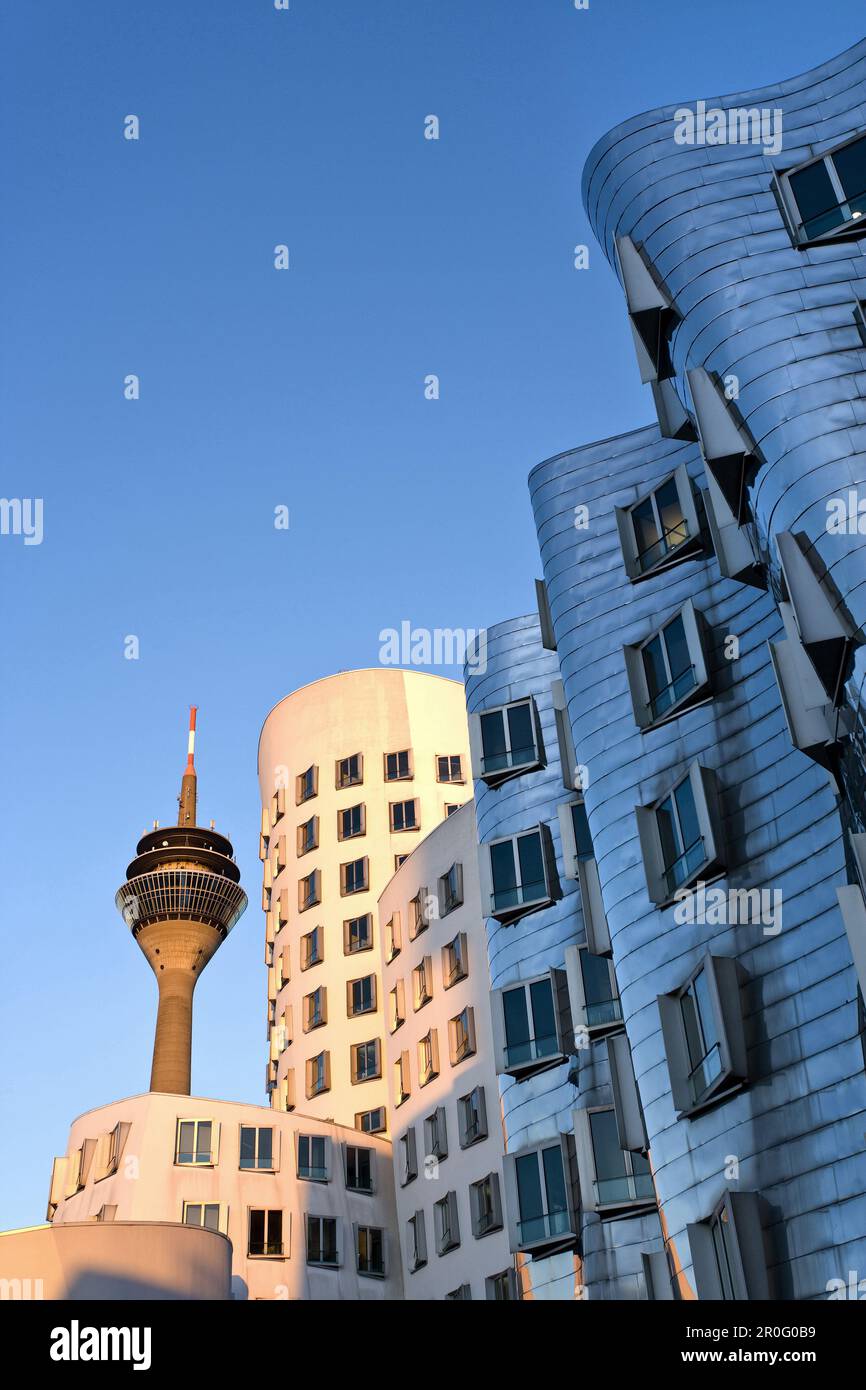 Gehry Buildings, Neuer Zollhof, Rheinturm im background, Media Harbor ...