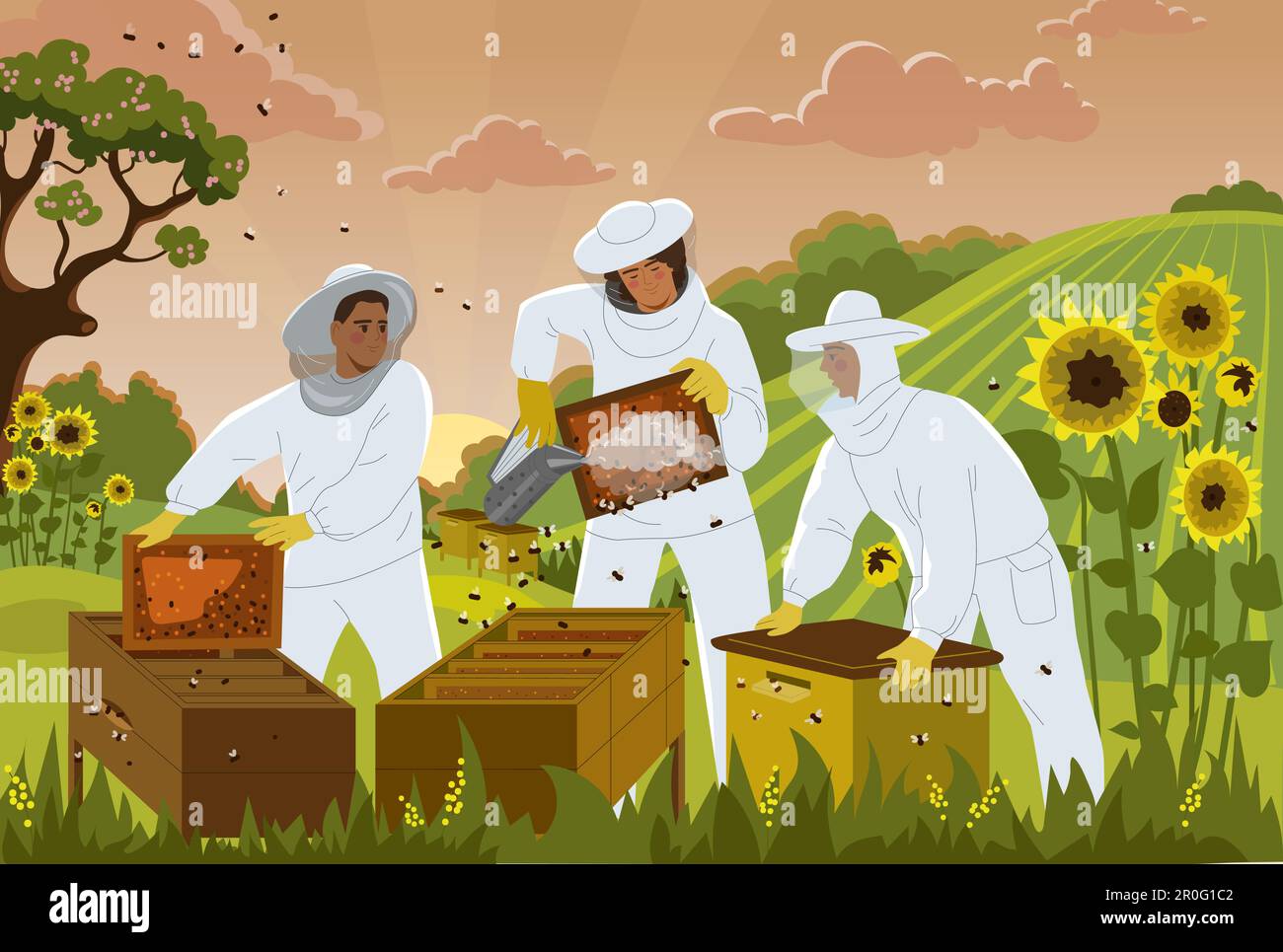 Bee keeper woman Stock Vector Images - Alamy