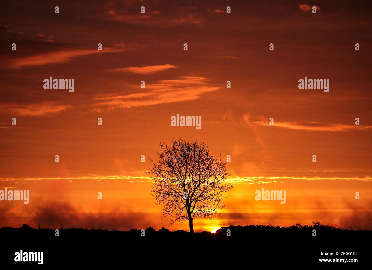 Sunrise with tree silhouette Stock Photo - Alamy