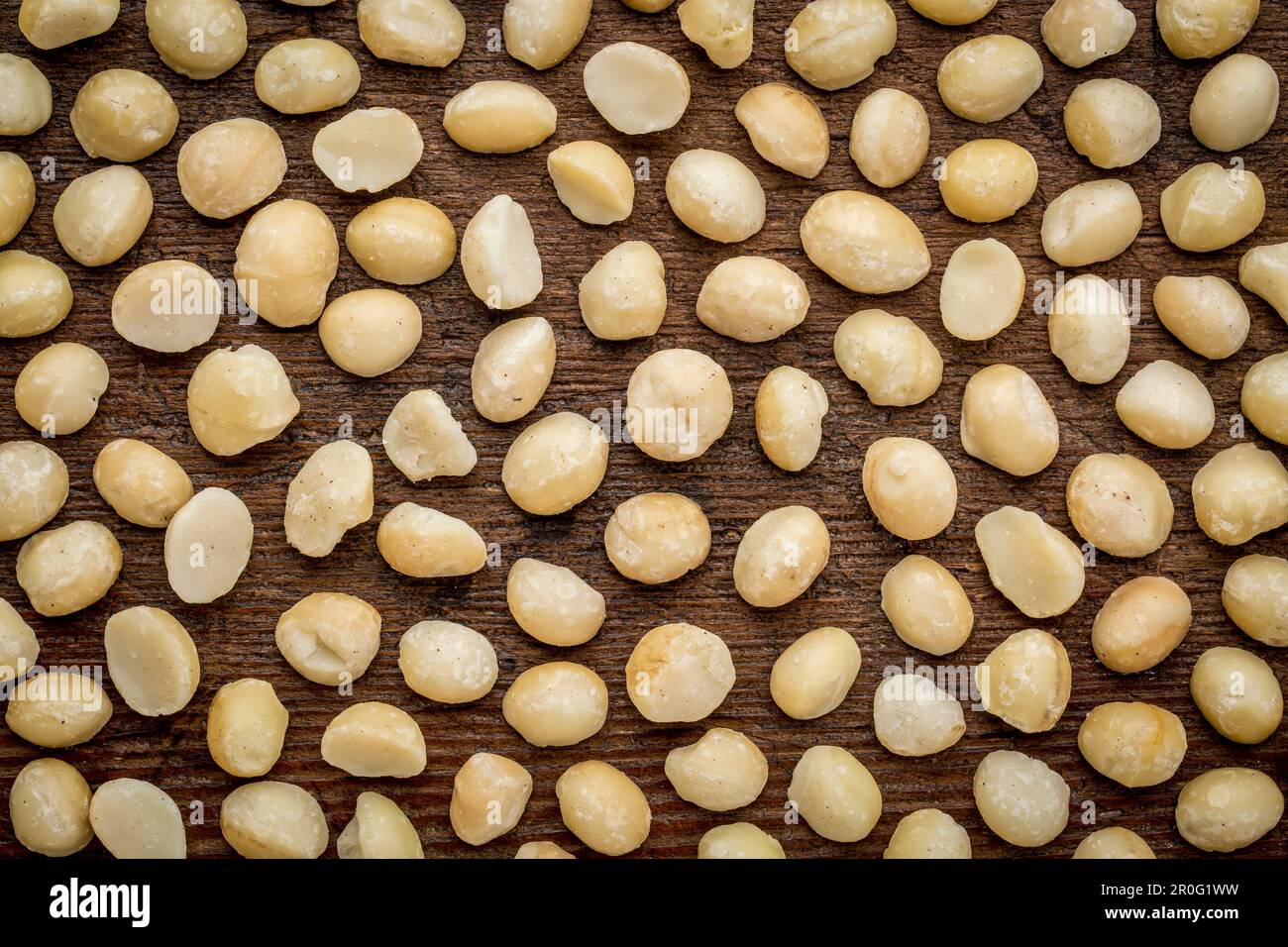 background texture of shelled macadamia nuts on rustic weathered wood ...