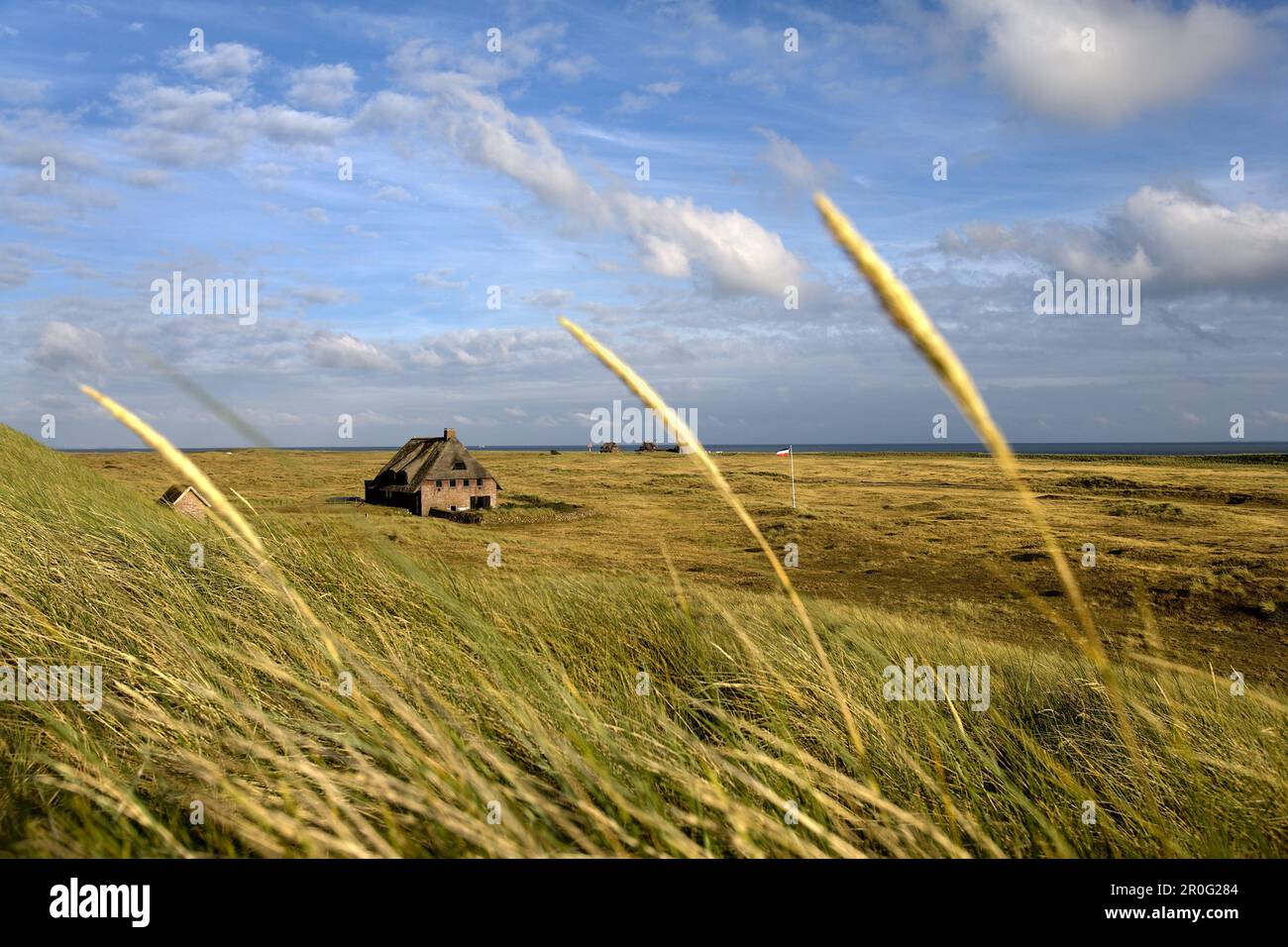 Thatched house, Ellenbogen, Sylt Island, Schleswig-Holstein, Germany ...