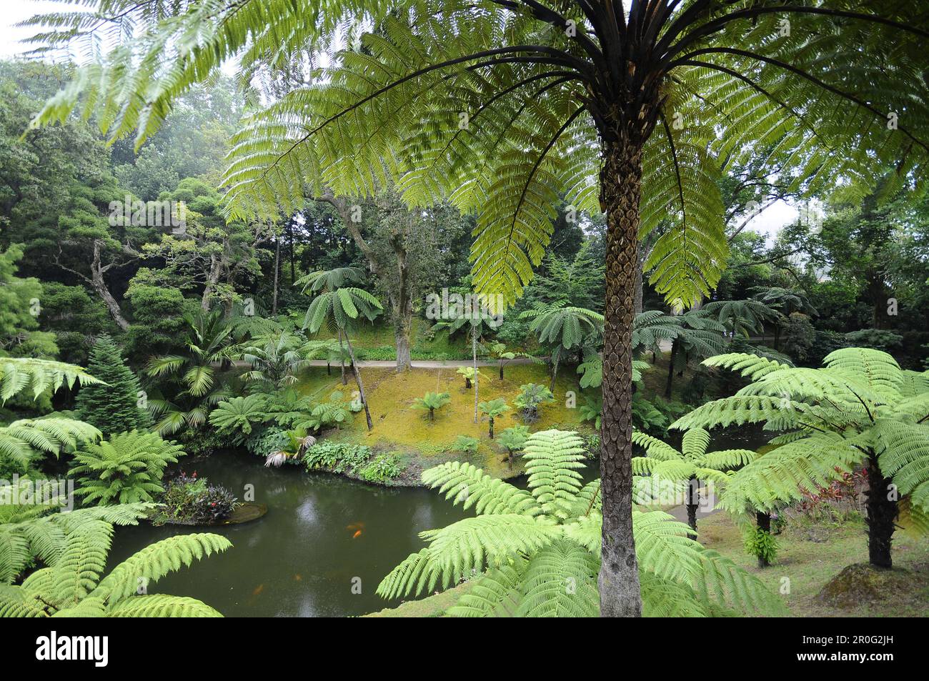 Terra Nostra Park in the hot springs of Furnas, Eastern part of the ...