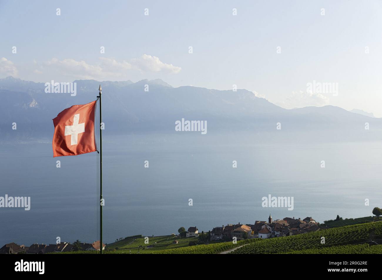 Swiss flag and vineyards, Rivaz, Lavaux, Canton of Vaud, Switzerland ...