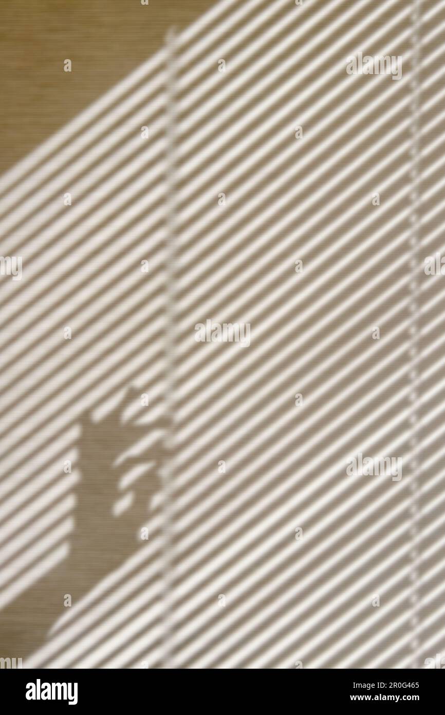 Shade from the blinds hi-res stock photography and images - Alamy