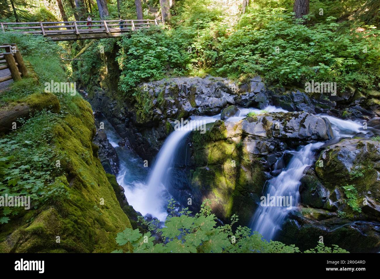Sol Duc River Falls in the forest, Olympic Nationalpark, Washington, USA Stock Photo - Alamy