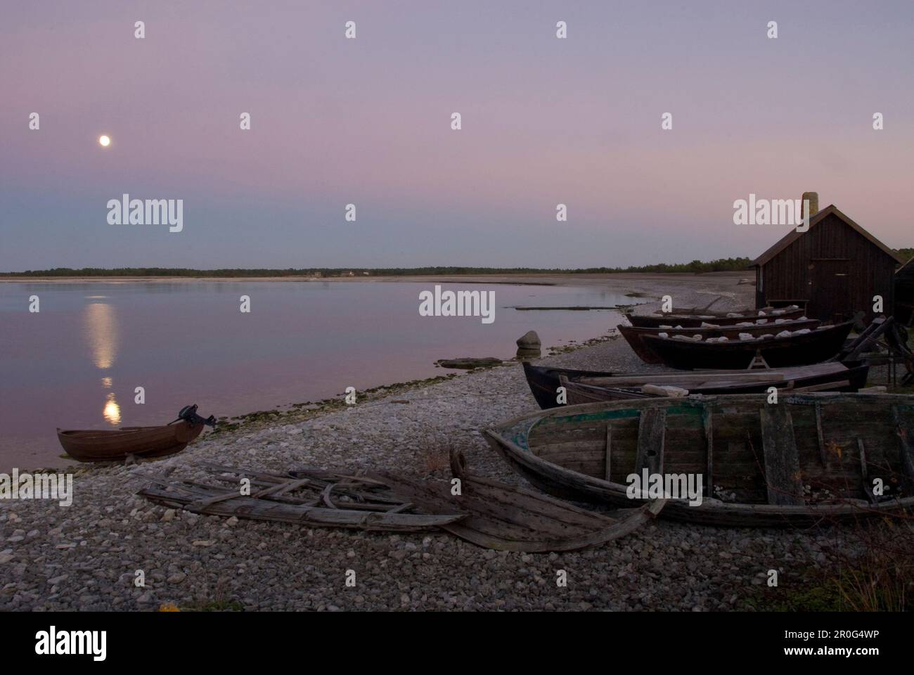 Pebble beach of gotland hi-res stock photography and images - Alamy