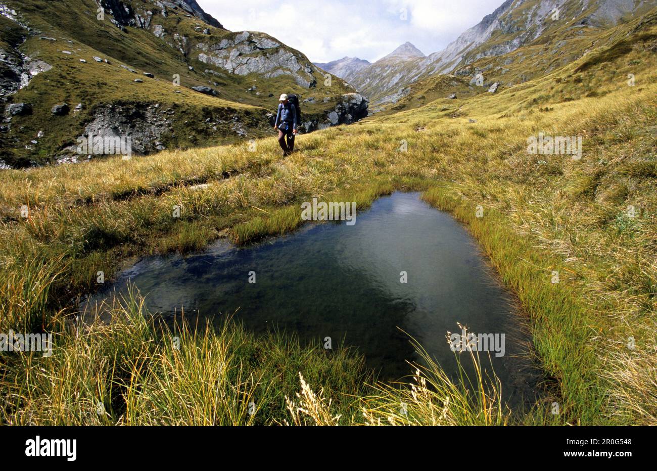 Trekker hiking on the Rees Dart Track at the valley of Snowy Creek, Mt ...