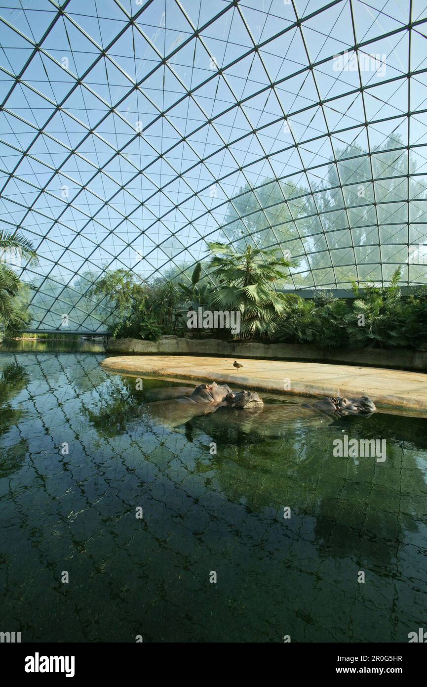 Germany berlin aquarium tank inside hi-res stock photography and images ...