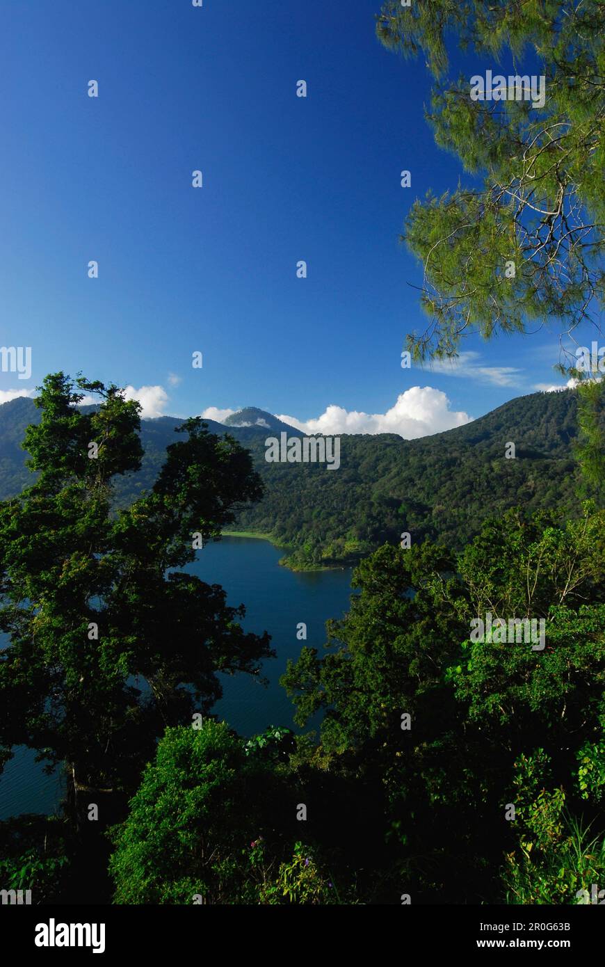 View at Lake Buyan in a caldera under blue sky, Bali, Indonesia, Asia ...